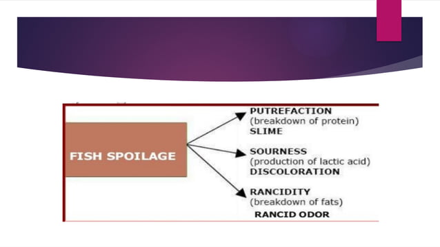 Microbial spoilage of meat, fish and sea.pptx