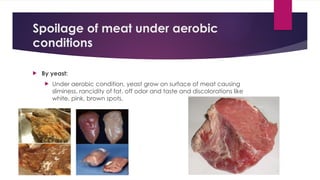 Microbial spoilage of meat, fish and sea.pptx