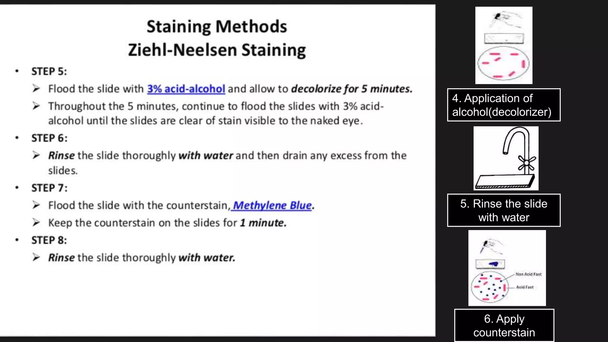 Bacterial Staining, Staining and it's types, Illustratec with detailed ...