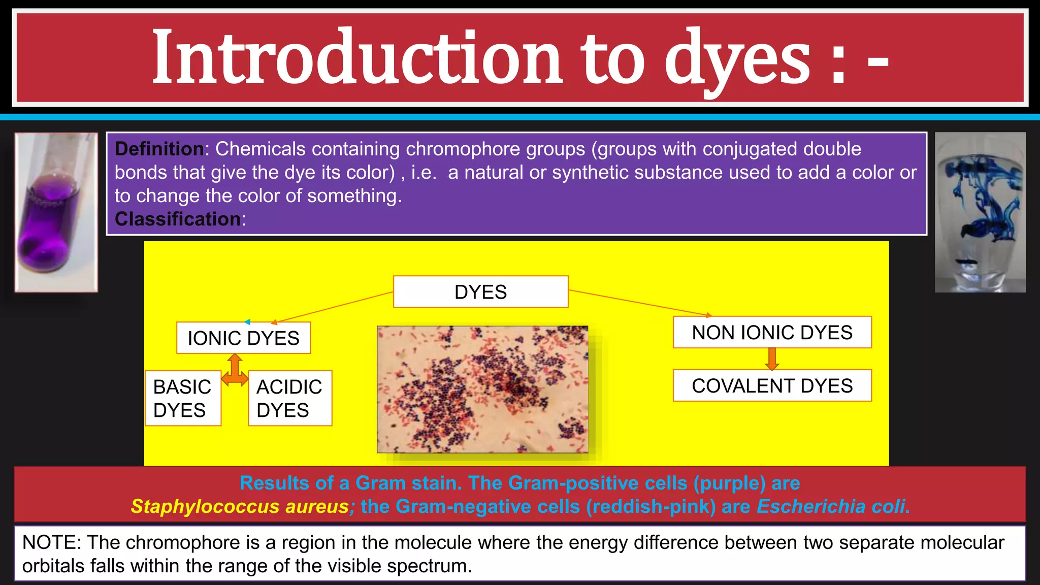 Bacterial Staining, Staining and it's types, Illustratec with detailed ...