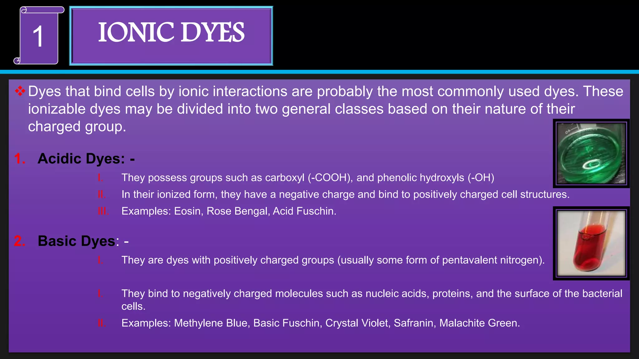 Bacterial Staining, Staining and it's types, Illustratec with detailed ...