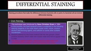 Bacterial Staining, Staining and it's types, Illustratec with detailed ...