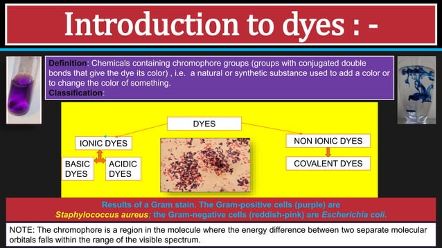 Bacterial Staining, Staining and it's types, Illustratec with detailed ...