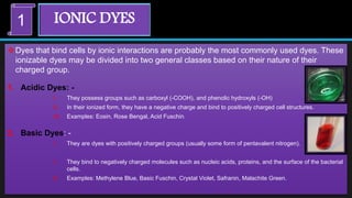 Bacterial Staining, Staining and it's types, Illustratec with detailed ...