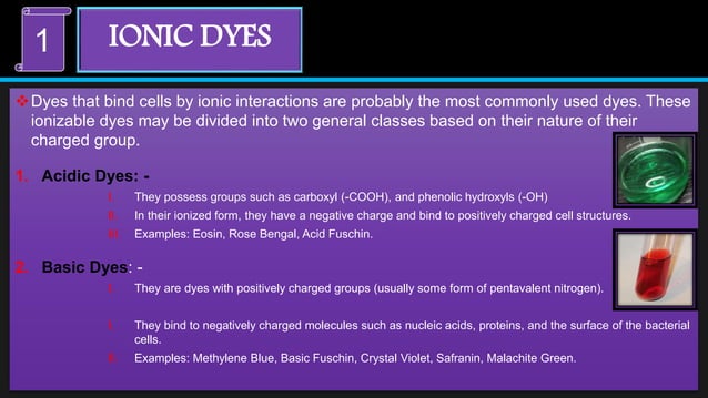 Bacterial Staining, Staining and it's types, Illustratec with detailed ...