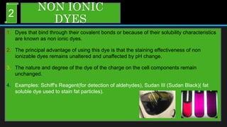Bacterial Staining, Staining and it's types, Illustratec with detailed ...