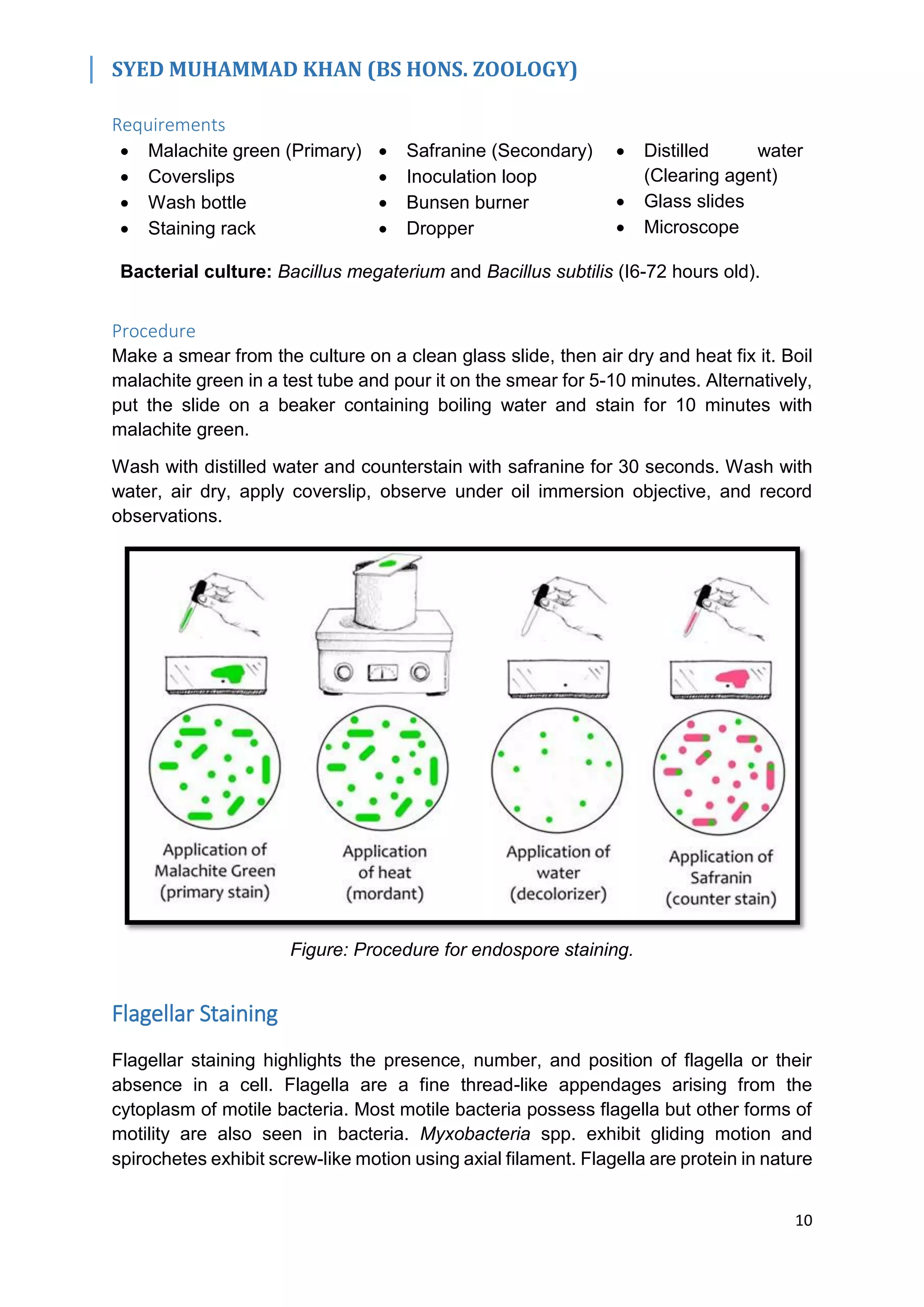 Microbial Staining | PDF
