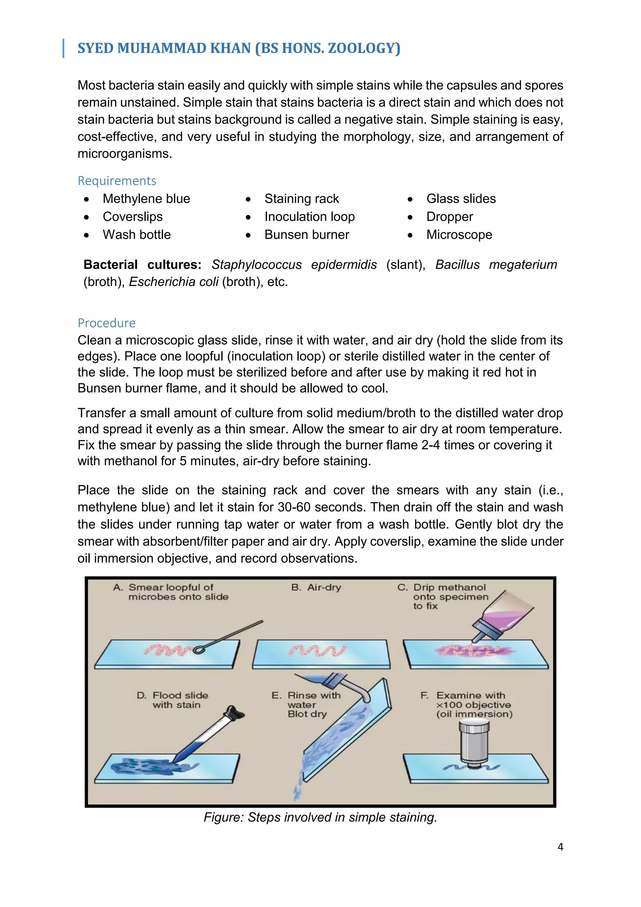 Microbial Staining | PDF