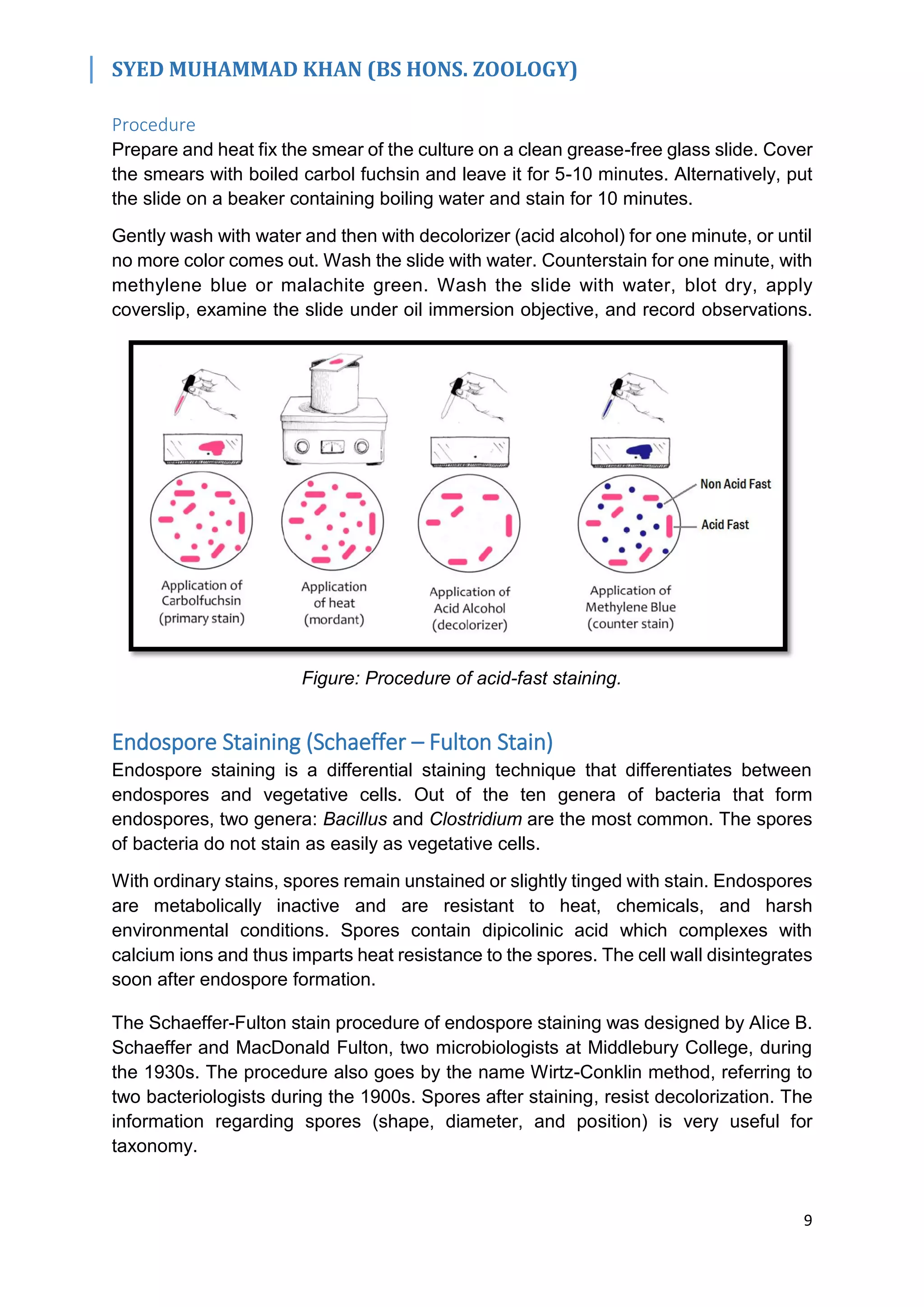 Microbial Staining | PDF