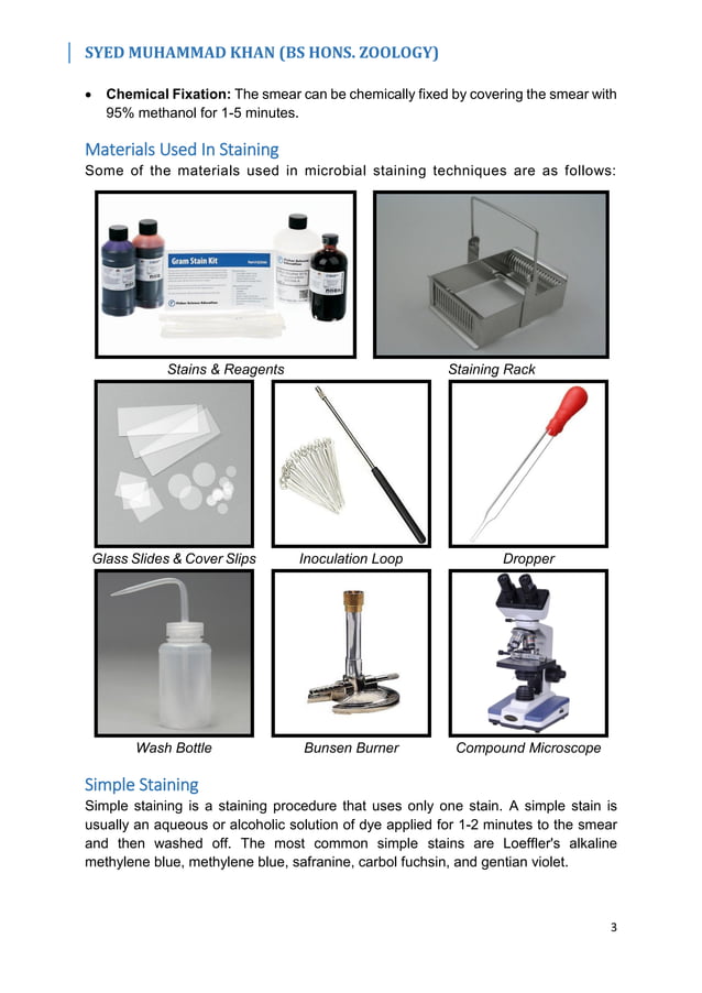 Microbial Staining | PDF