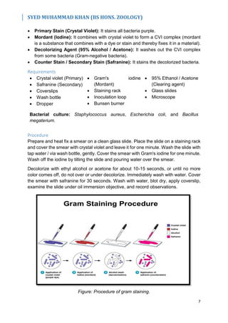 Microbial Staining | PDF