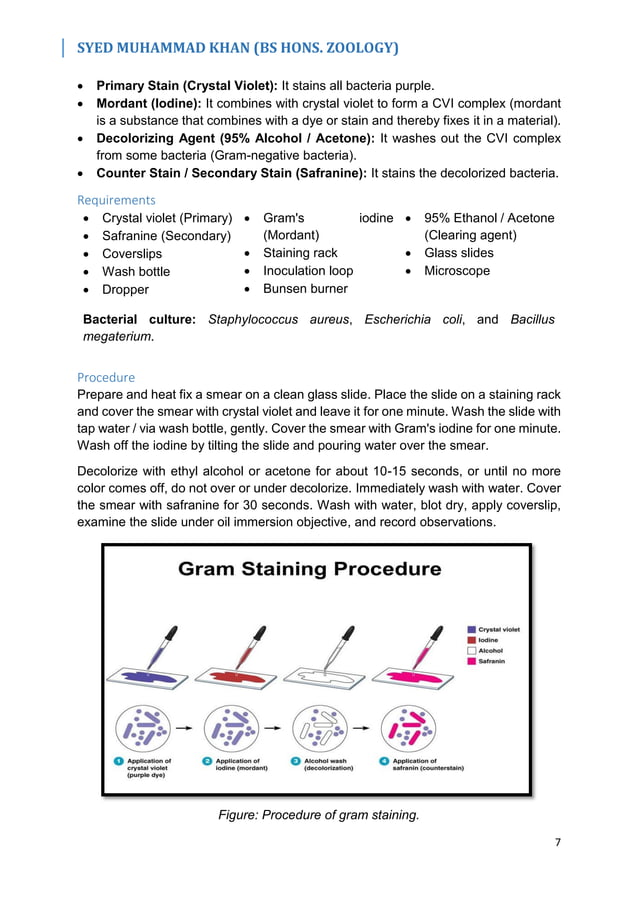 Microbial Staining | PDF