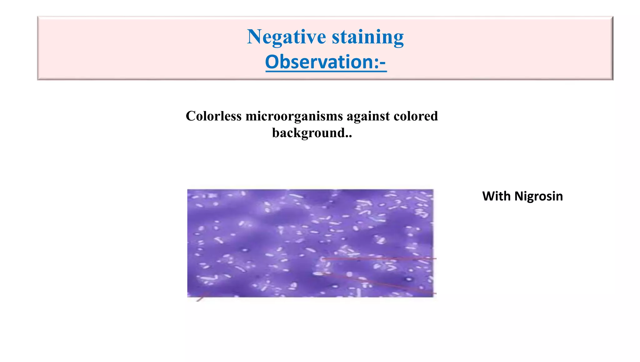 Microbial staining | PPT