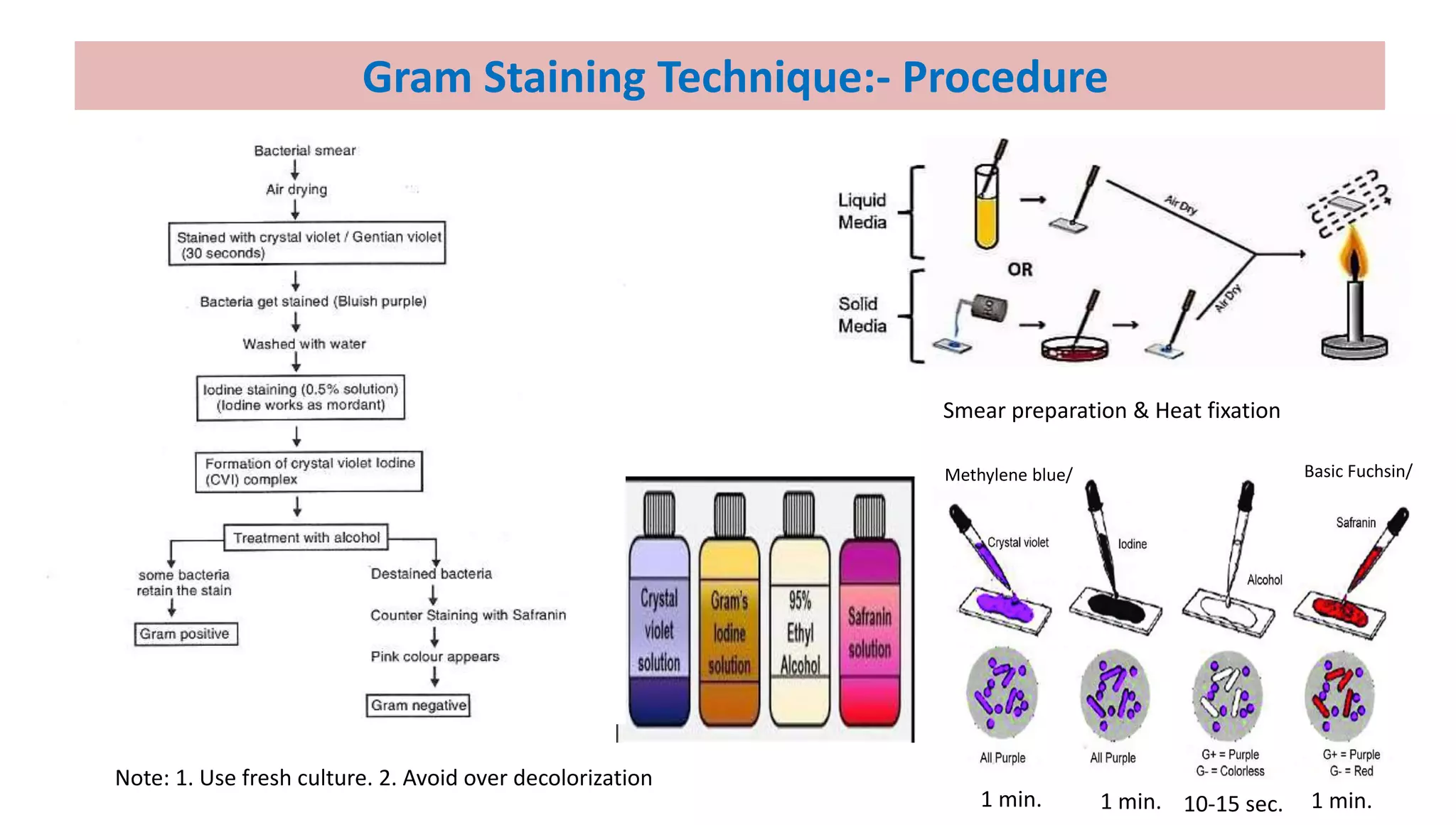 Microbial staining | PPT