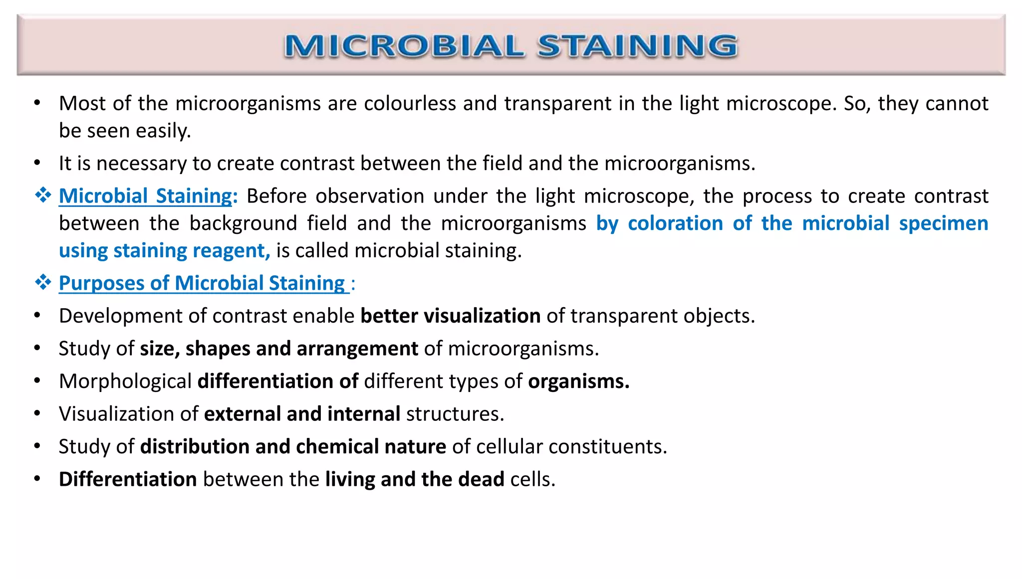 Microbial staining | PPT