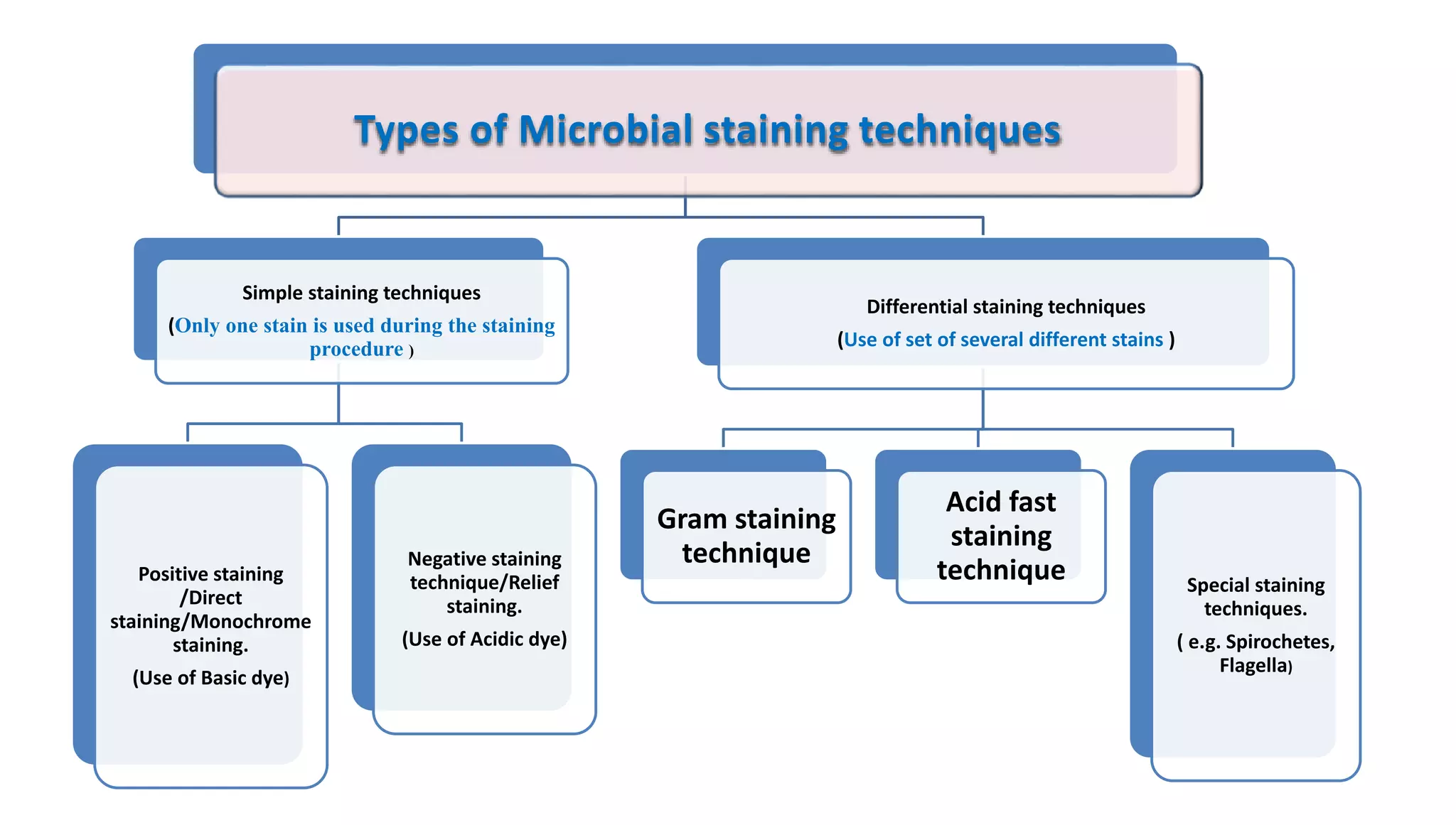 Microbial staining | PPT