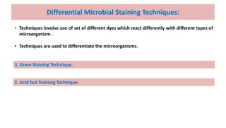 Microbial staining | PPTX