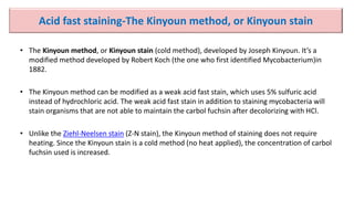 Microbial staining | PPT