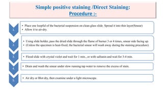 Microbial staining | PPT