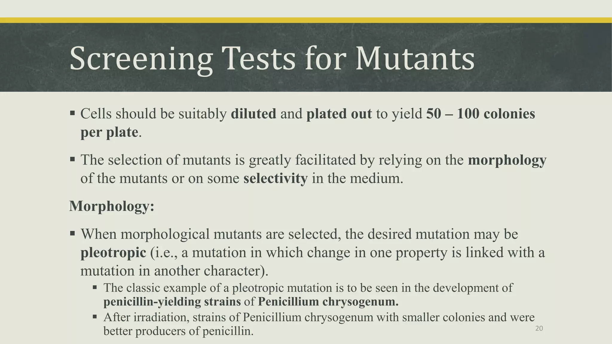 Microbial strain selection.. | PPTX