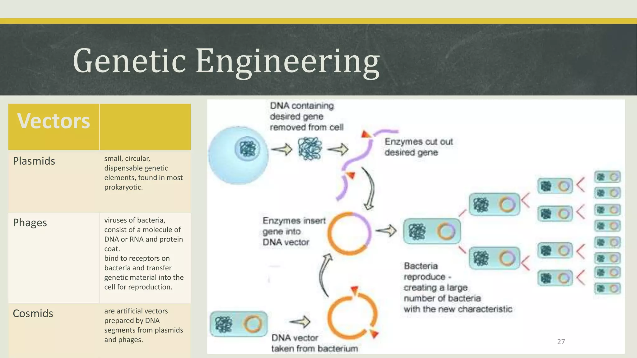 Microbial strain selection.. | PPTX