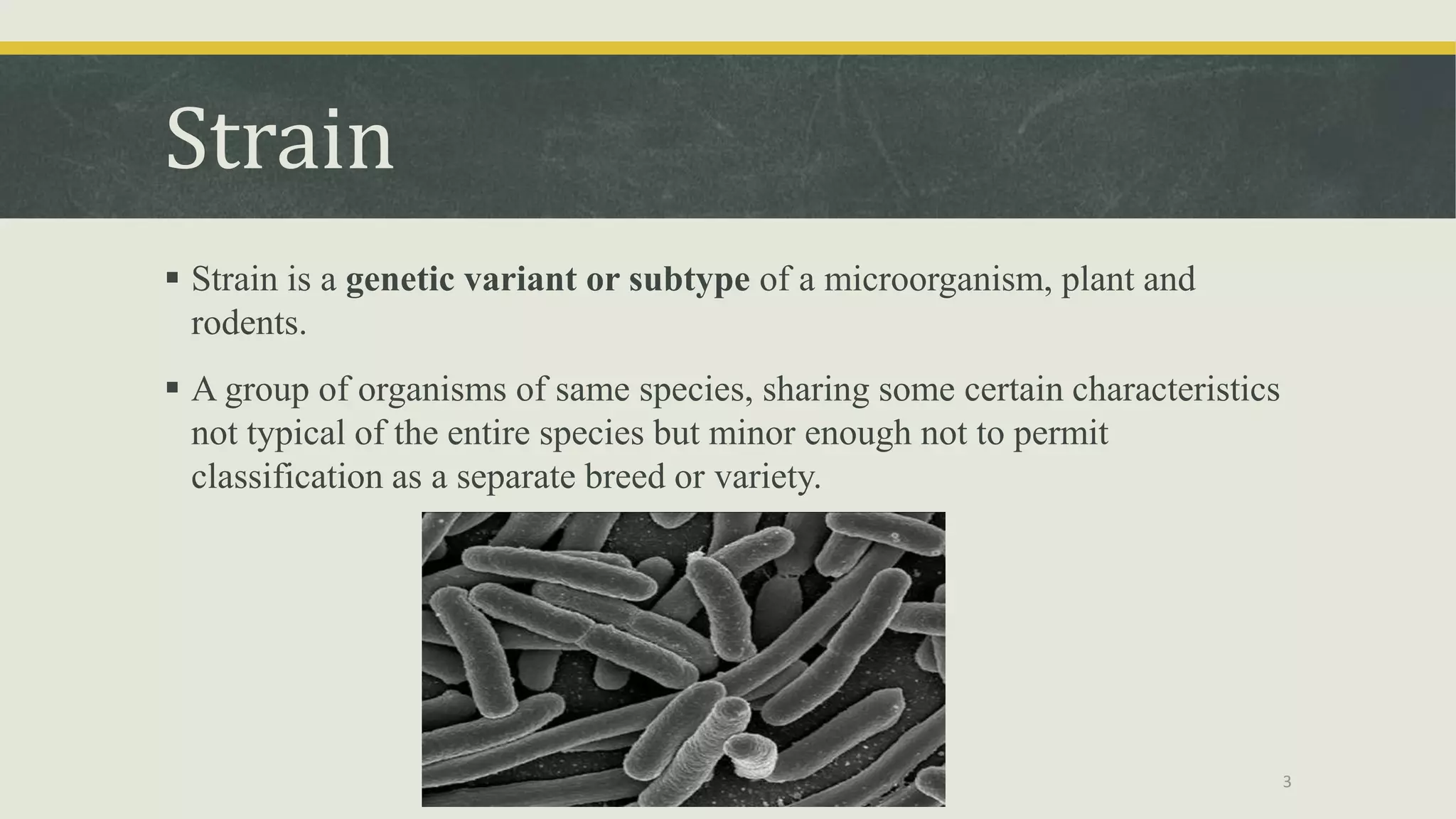 Microbial strain selection.. | PPTX