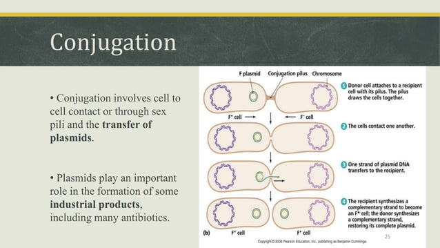 Microbial strain selection.. | PPTX
