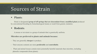 Microbial strain selection.. | PPTX