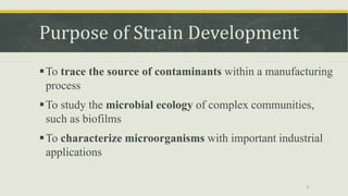Microbial strain selection.. | PPTX