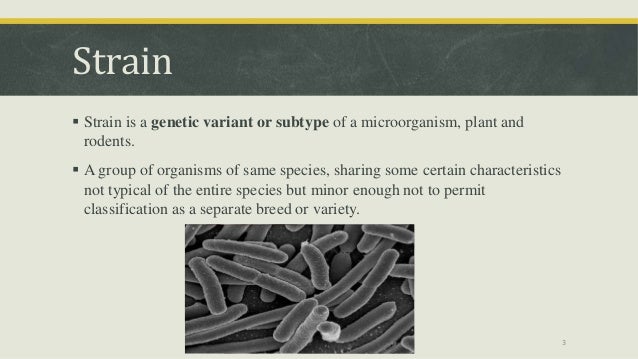 Microbial strain selection..