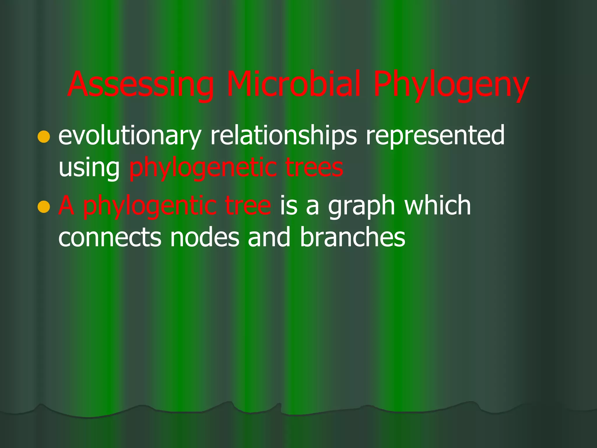 Microbial taxonomy | PDF
