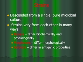 Microbial taxonomy | PDF