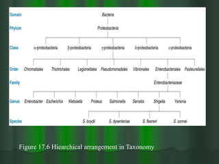 Microbial taxonomy | PDF