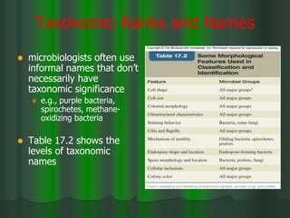 Microbial taxonomy | PDF