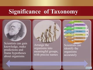 Microbial taxonomy | PPTX