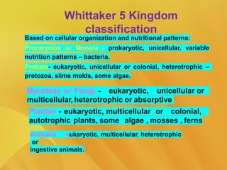 Microbial Taxonomy2.pdf