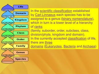 Microbial Taxonomy2.pdf