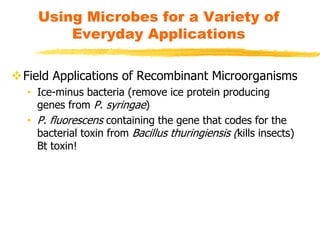 microbial tech.ppt