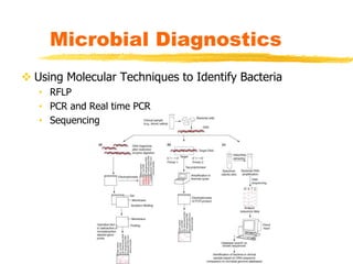 microbial tech.ppt