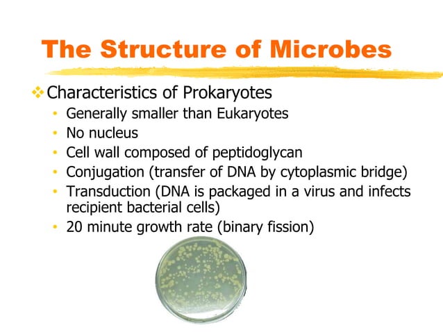 microbial tech.ppt