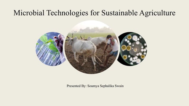 Microbial technologies Agriculture.pptx | Agriculture | Industries