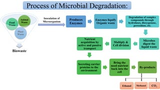 Microbial Technologies For Biowaste.pptx
