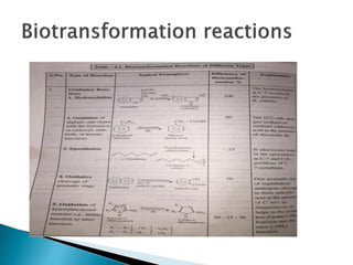 Microbial transformation | PPTX