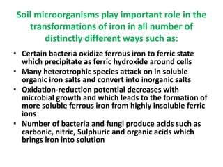 Microbial transformation of s,fe,mn. | PDF