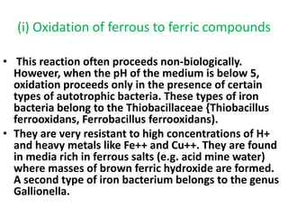 Microbial transformation of s,fe,mn. | PDF
