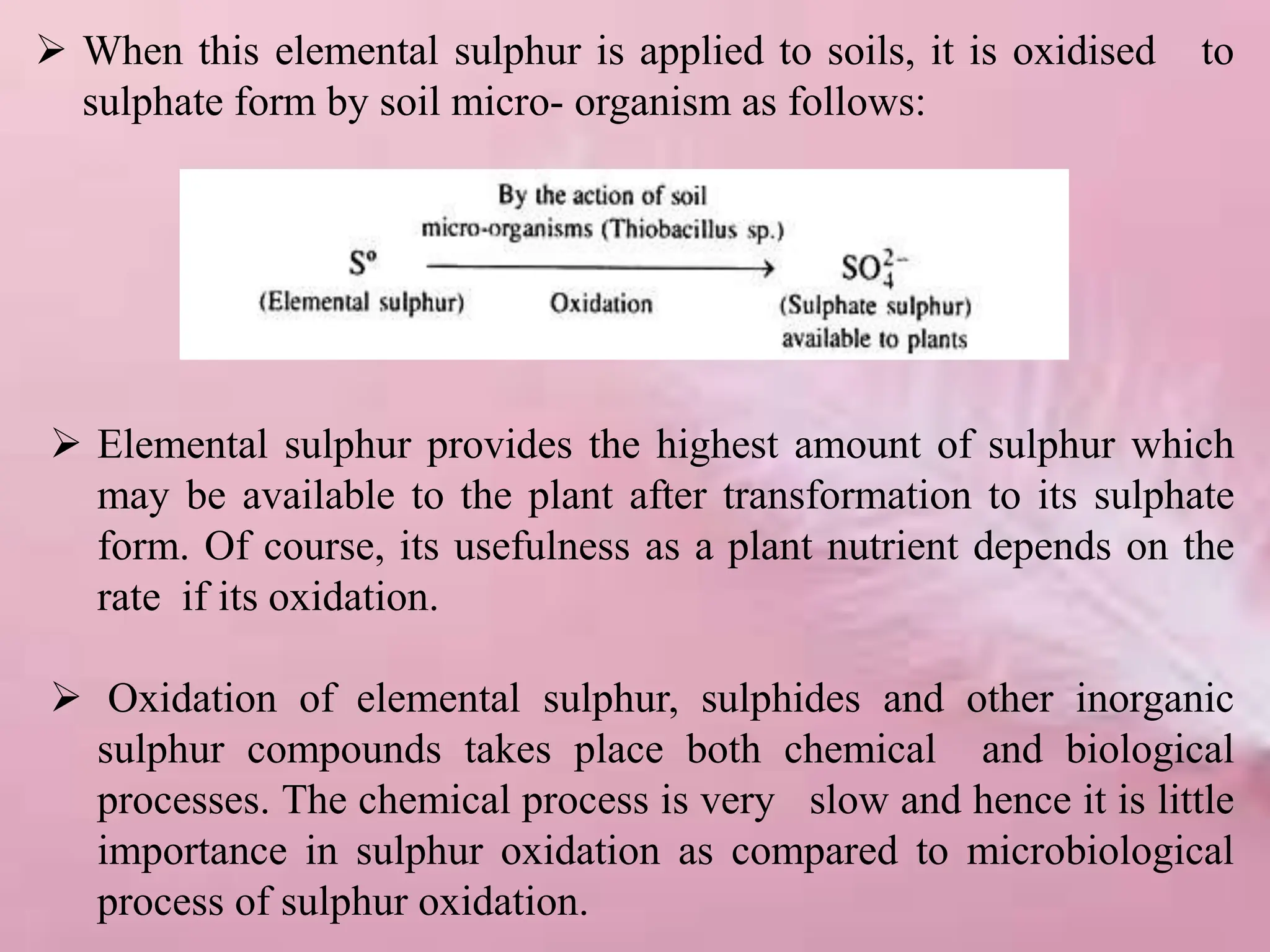 Microbial transformation of Sulphur.pptx