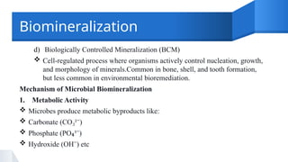 Microbial tratment of metals and radionuclides.pptx