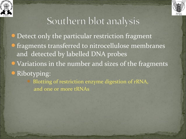 Microbial typing | PPT