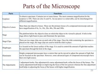 Microbial world | PPTX