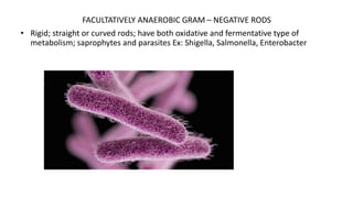 Microbial world I.pptx